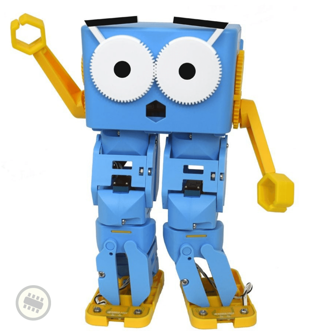 Buy Marty the Robot V2 PAKR-A0384 Robotical